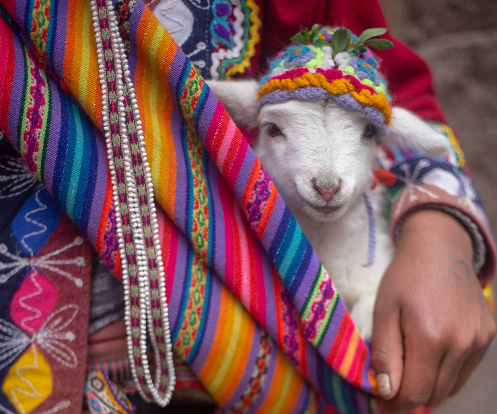 Handbags – The Basic Apparel Company